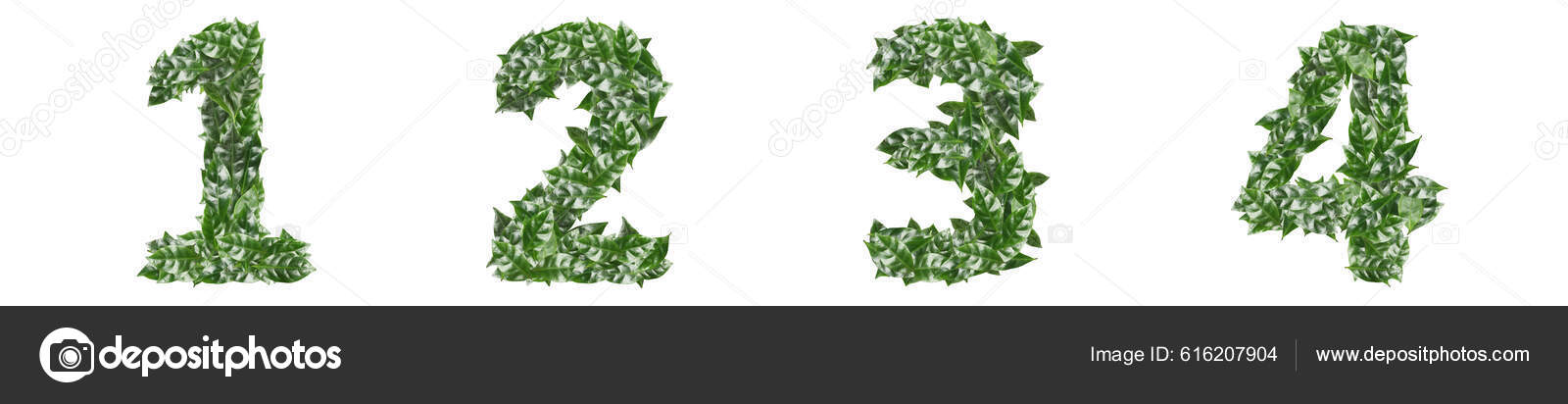 Numbers Made Fresh Green Leaves White Background Banner Design Stock ...
