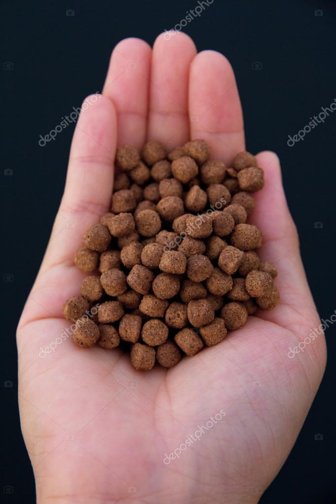 Aquarium fish feed — Stock Photo © ponsulak #33934411