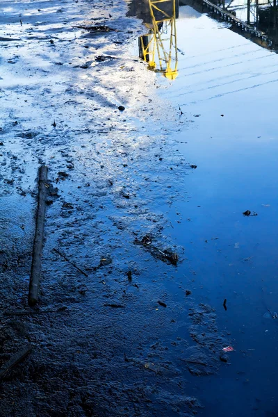 Polluted water florida Stock Photos, Royalty Free Polluted water ...