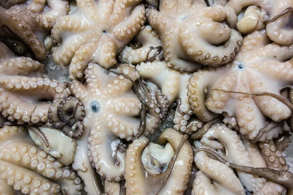 Octopus market - Stock Image - Everypixel