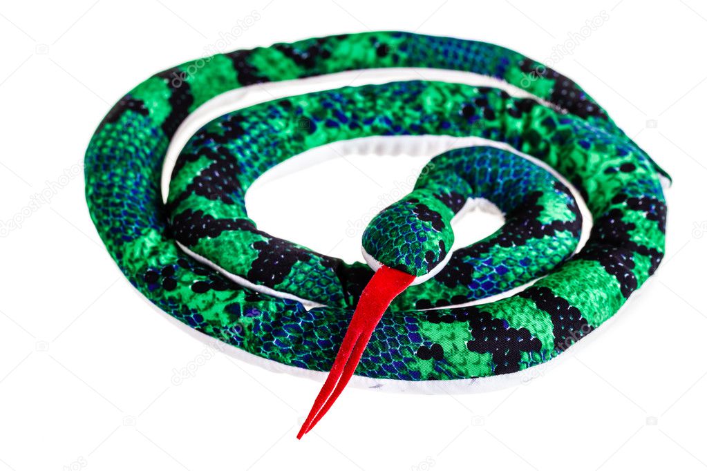 Coiled rag snake — Stock Photo © dlpn #46389729