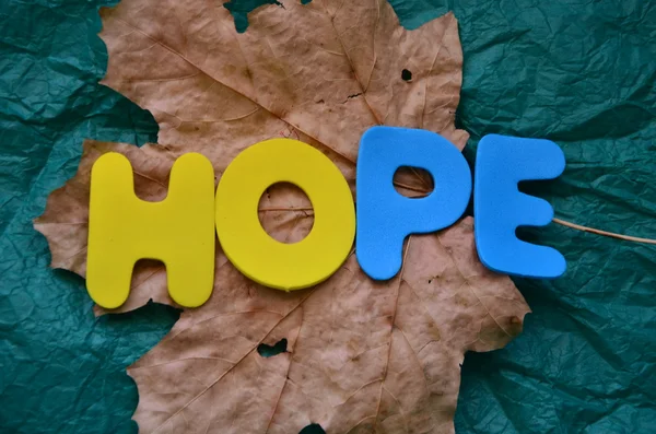 Hopefulness Stock Photos, Royalty Free Hopefulness Images | Depositphotos