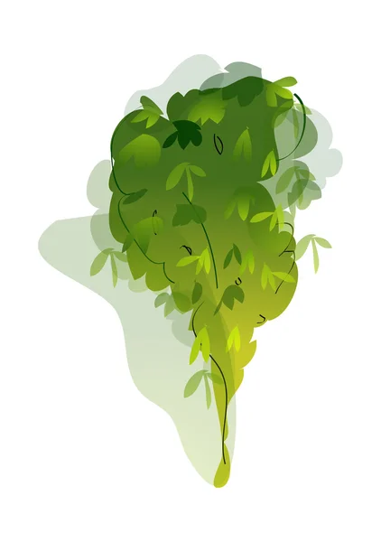 Fresh Green Chinese Kales on White Background Stock Vector Image by ...