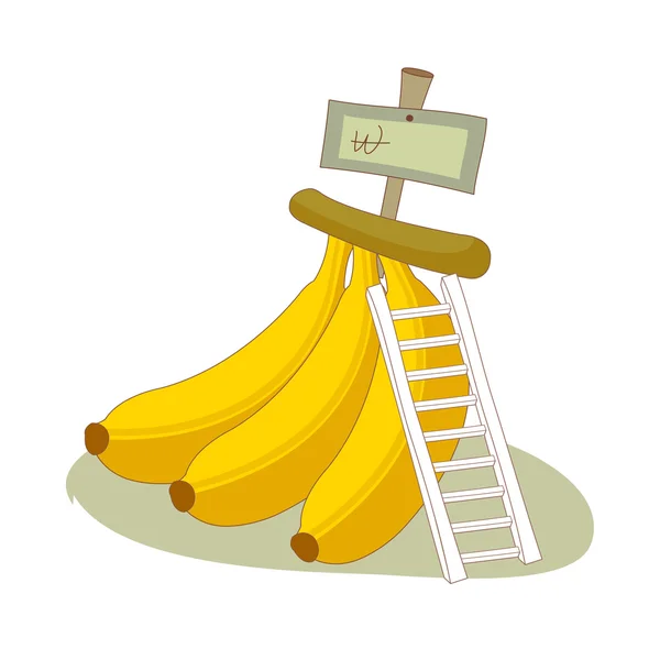 Bananas Stock Vector by ©zzve 13457290