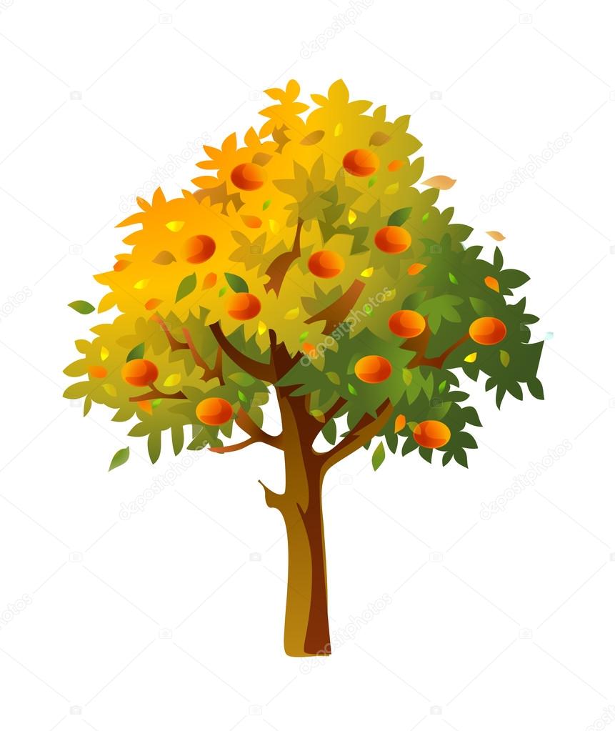 Fruit tree Stock Vector Image by ©zzve #13451907