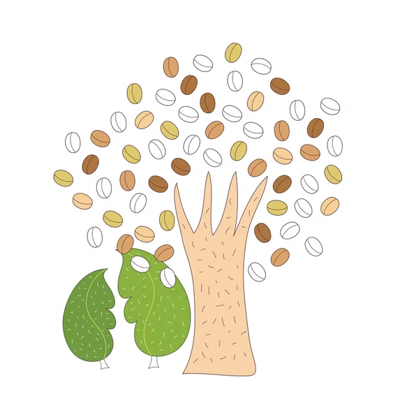 Drzewa kakaowego Vector Art Stock Images | Depositphotos