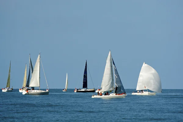 Sailing regatta competition Stock Photos, Royalty Free Sailing regatta ...