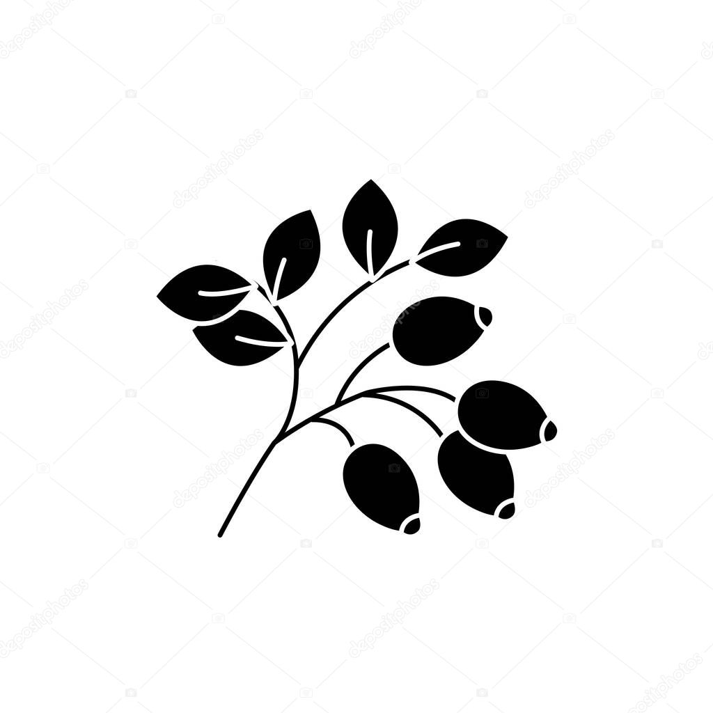 Icono de línea de color rosa mosqueta. Aceites esenciales semillas de ...