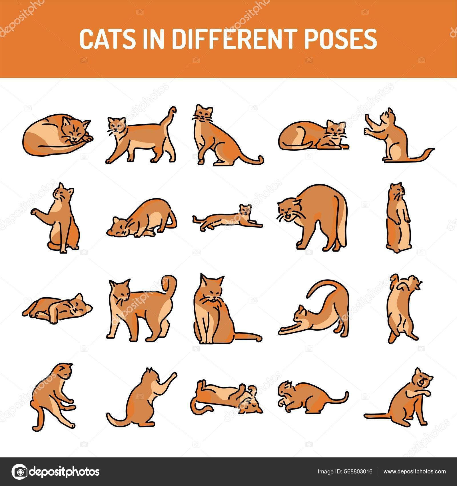 Different poses of cats line icons set. Isolated vector element. Stock ...