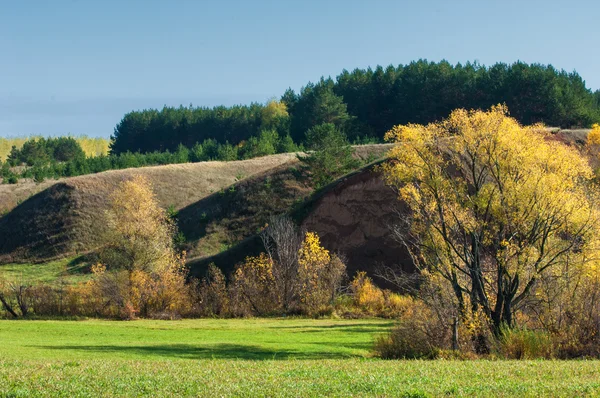 Taieri river scenic reserve Stock Photos, Royalty Free Taieri river ...
