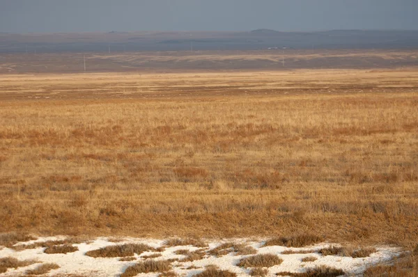 Steppe climate Stock Photos, Royalty Free Steppe climate Images ...