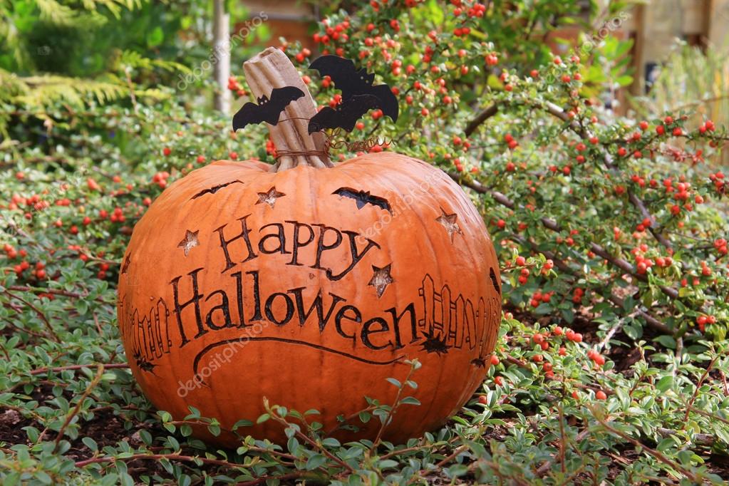 Happy Halloween pumpkin — Stock Photo © Hannamariah #13516312