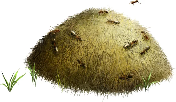 263 Ant hill Vector Images, Ant hill Illustrations | Depositphotos