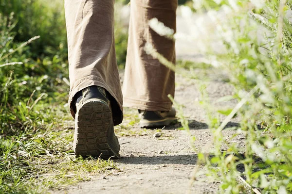 Walking legs Stock Photos, Royalty Free Walking legs Images | Depositphotos
