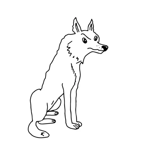 Farkas rajzok Stock vektorok, Farkas rajzok Jogdíjmentes illusztrációk ...