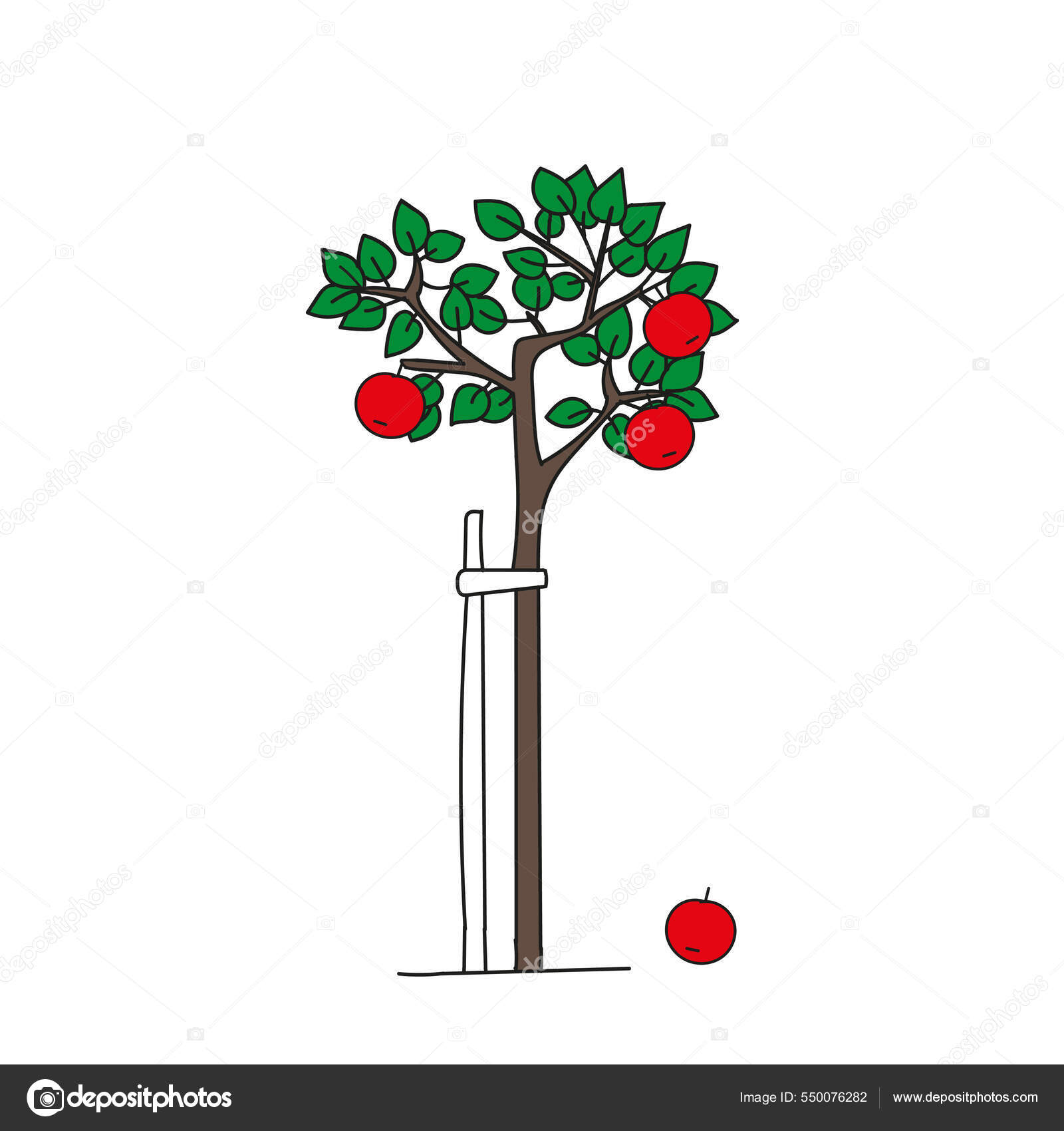 Apple Tree Images Outline Images - Infoupdate.org
