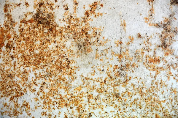 Dangerous harmful fungus mold Stock Photos, Royalty Free Dangerous ...