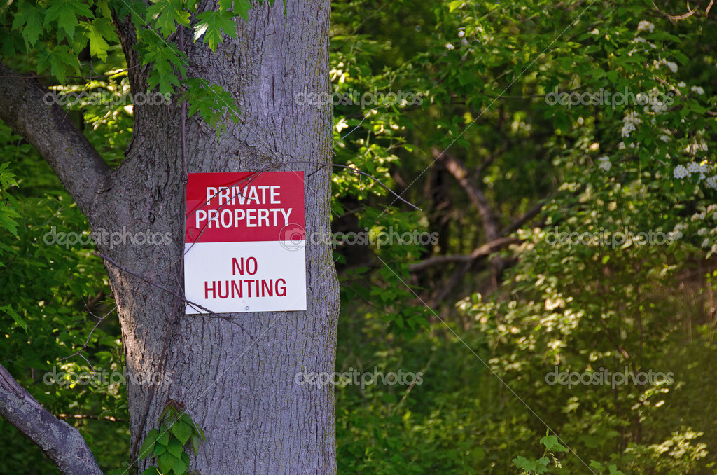 No Hunting Signs On Trees