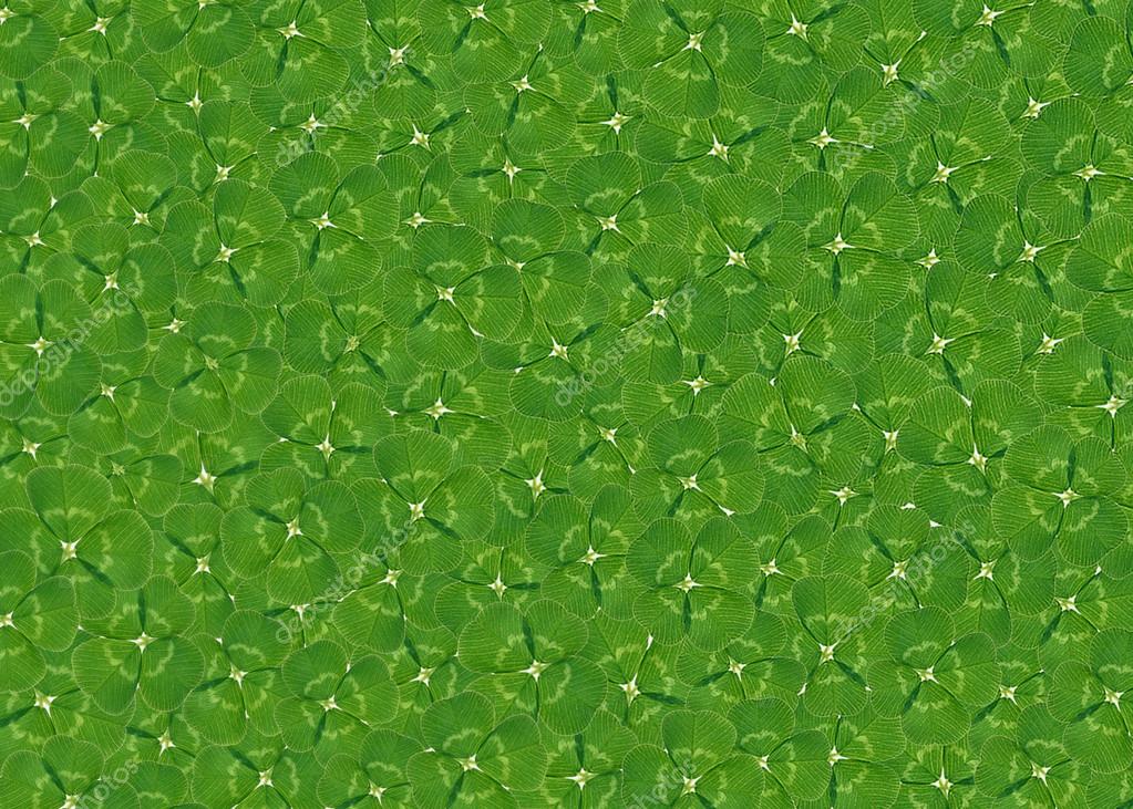 Four-leaf clover background Stock Photo by ©jentara 40263557