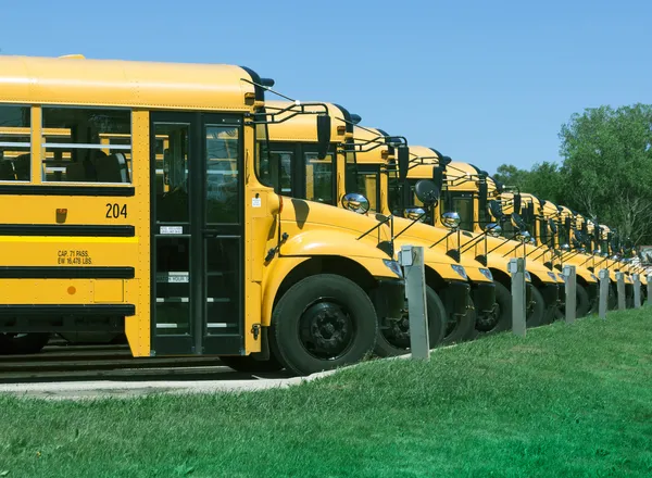 School buses — Stock Photo © pyzata #28179985