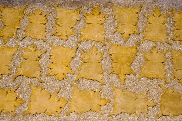 Curing Animal Hides at Old Tannery in Fes, Morocco - Stock Image ...