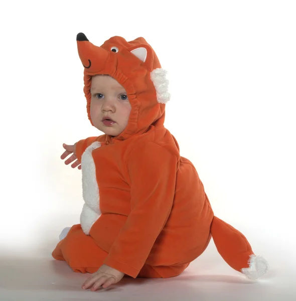 Boy in fox costume — Stock Photo © EEI_Tony #34000061