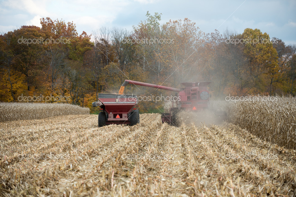 Combining corn field — Stock Photo © EEI_Tony #37601527