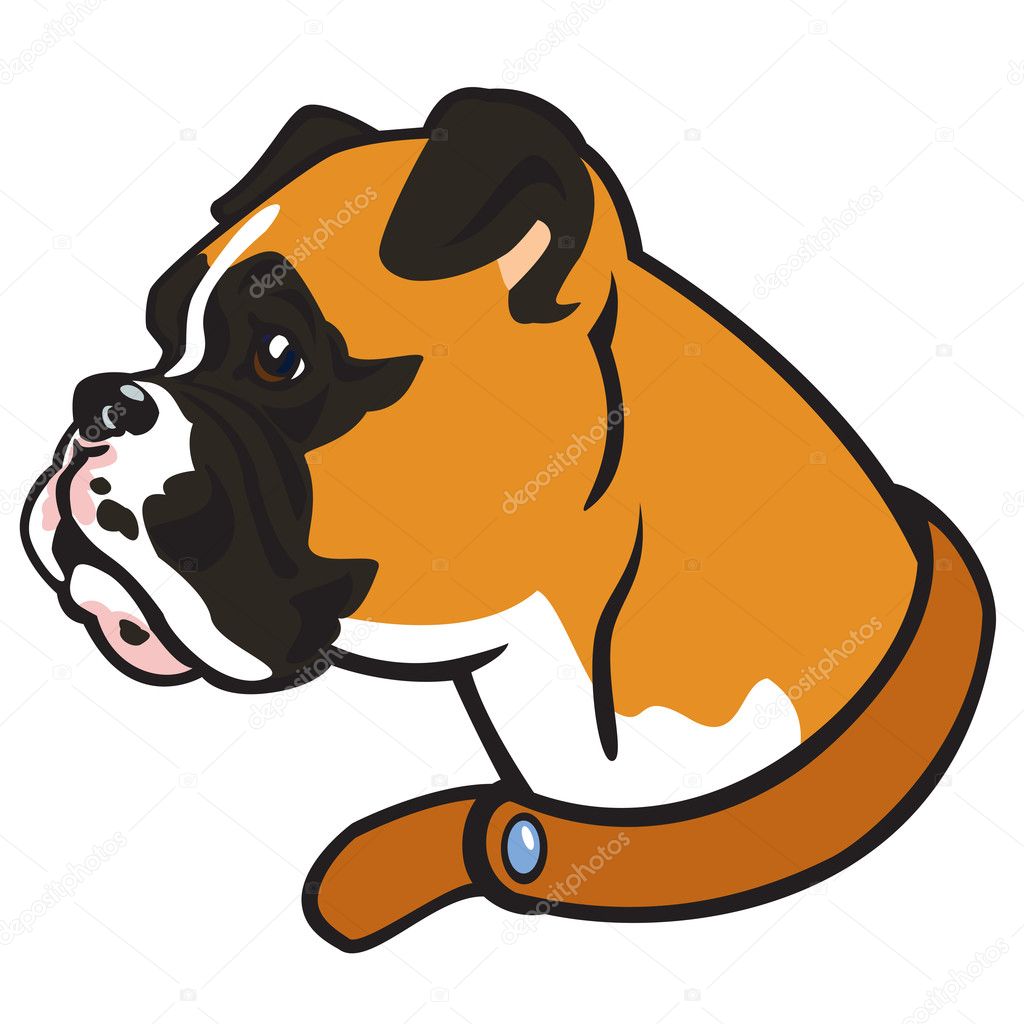Boxer Dog Head Clipart