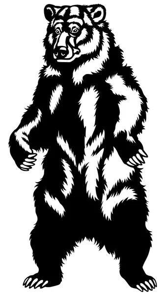 Standing Bear Vector