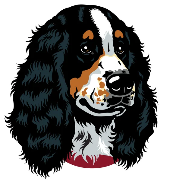 977 Cocker spaniel Vectors, Royalty-free Vector Cocker spaniel Images ...