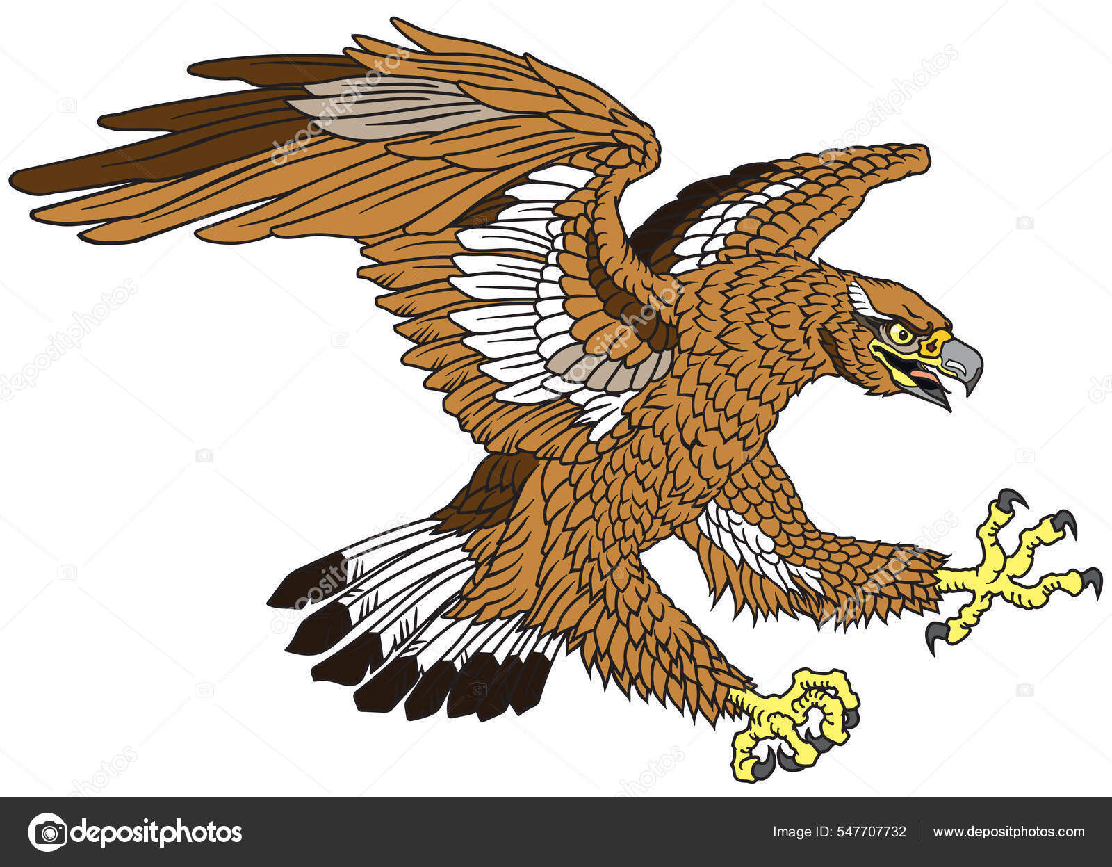 Golden Eagles Flying Drawing