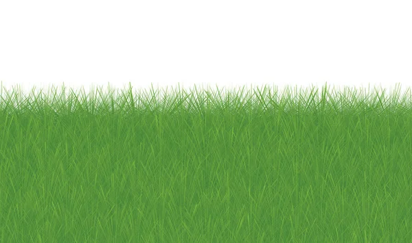 Pasto de pastos imágenes de stock de arte vectorial | Depositphotos