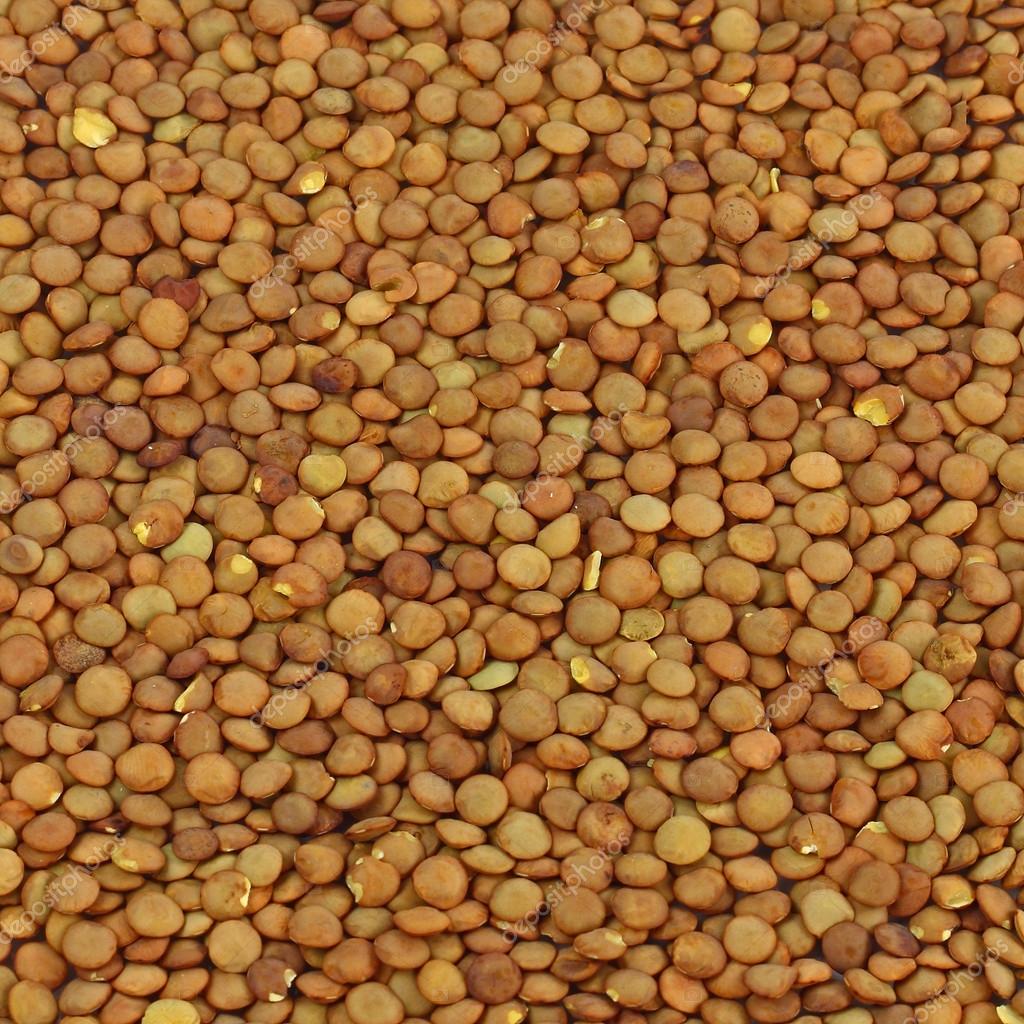 Lentil — Stock Photo © choocha69 #13536869
