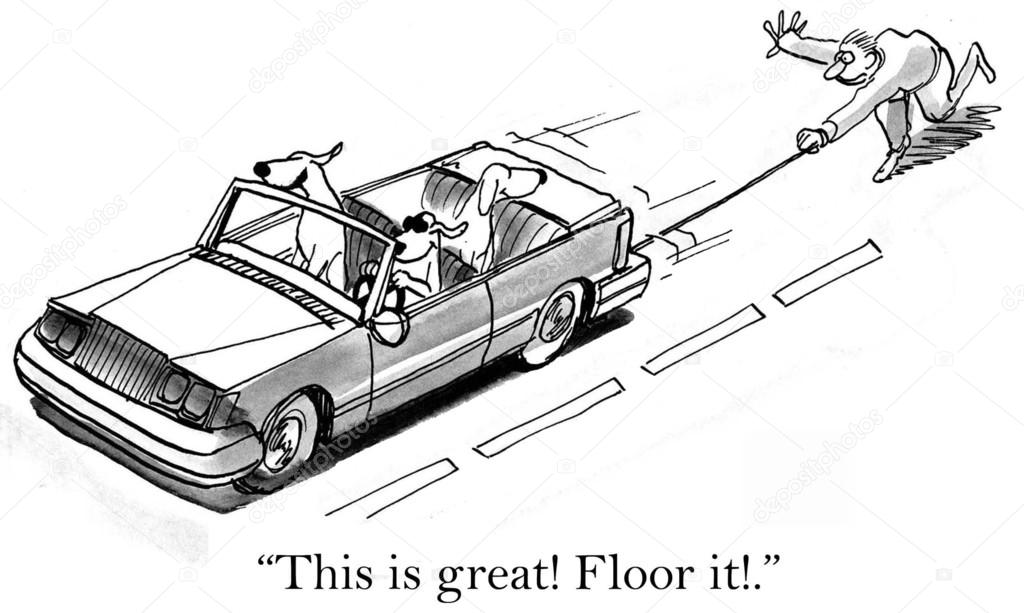 Dog Driving Car Cartoon