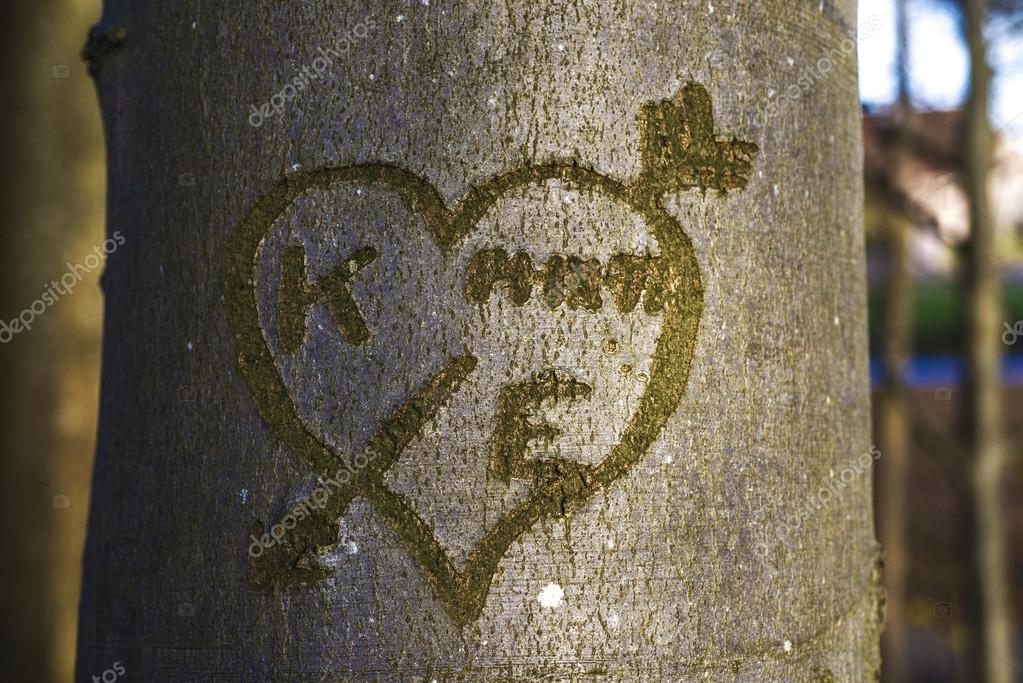 Heart carved in tree trunk — Stock Photo © camema #15725619