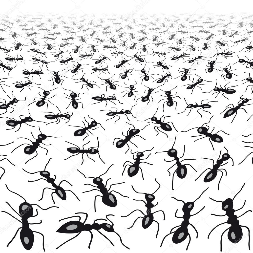 Many ants — Stock Vector © robodread #13359114 Many ants — Stock Vector © robodread #13359114