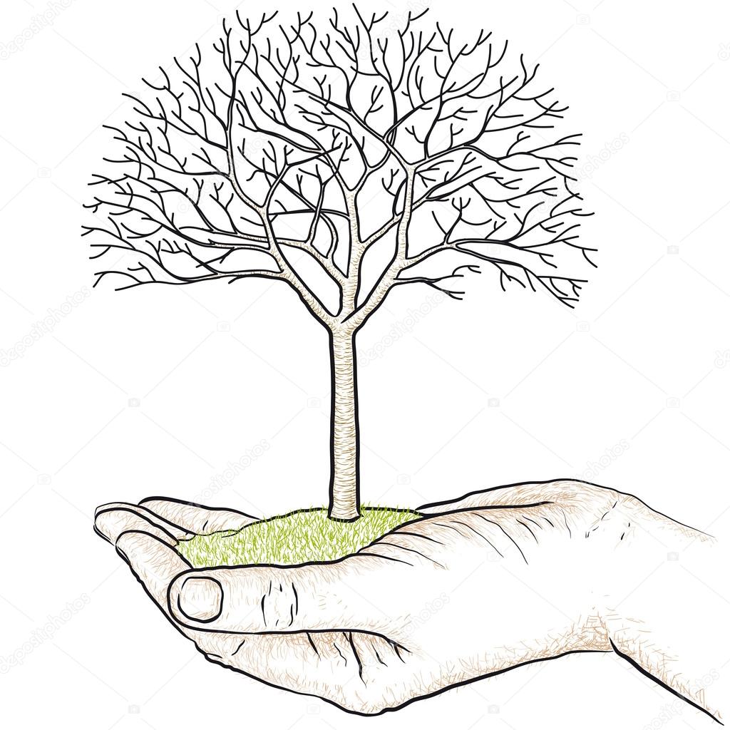 Hand holding a tree — Stock Vector © robodread #22056593