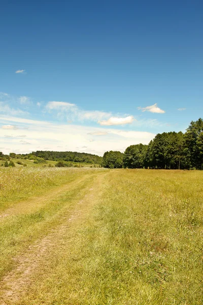 Cold field Stock Photos, Royalty Free Cold field Images | Depositphotos