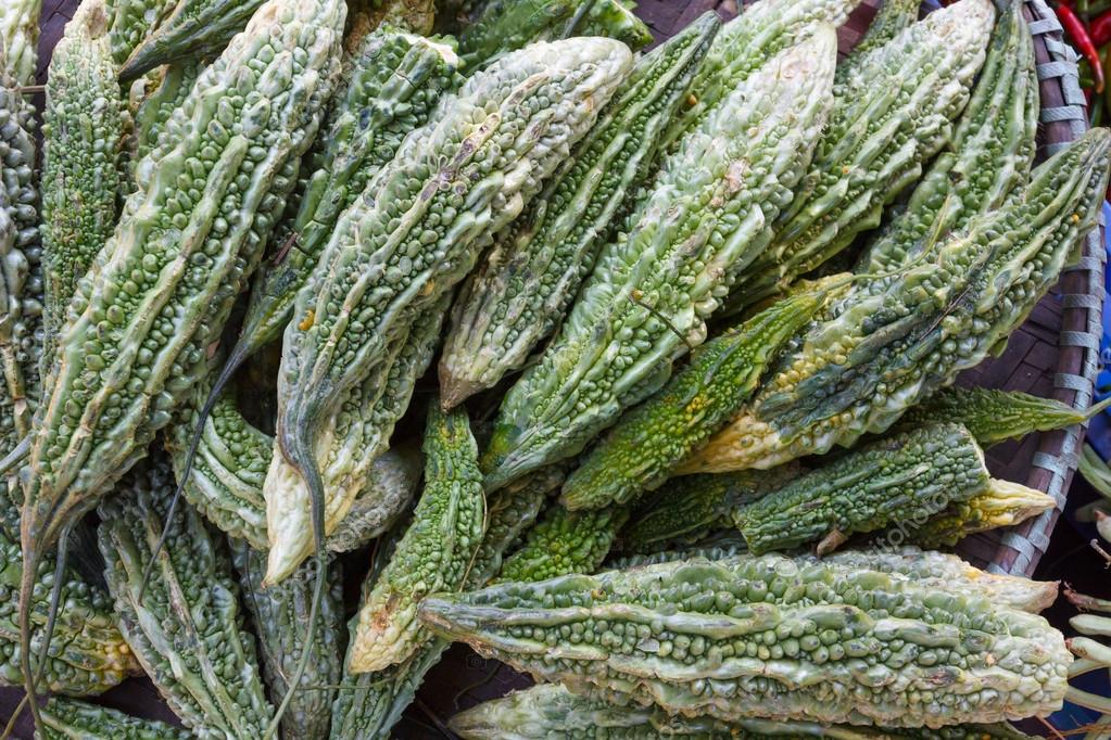 Indian variety of the Bitter gourd — Stock Photo © eggheadphoto #37007739