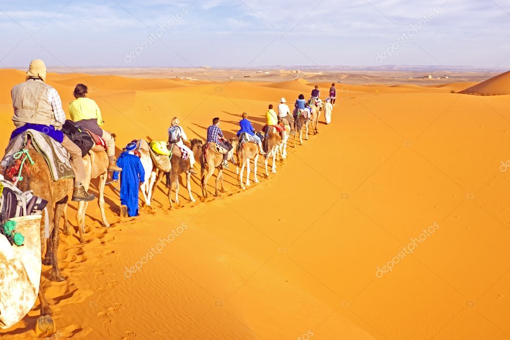 Camel caravan going through the sand dunes in the Sahara Desert, — Stock Photo © nilaya #44558107