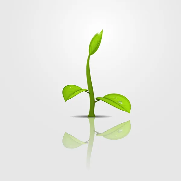 Sprouting Stock Vectors, Royalty Free Sprouting Illustrations ...