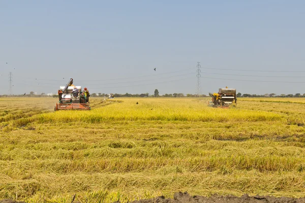 Combine harvesters Stock Photos, Royalty Free Combine harvesters Images ... Combine harvesters Stock Photos, Royalty Free Combine harvesters Images ...