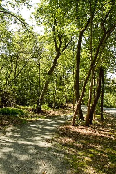 Nature trails Stock Photos, Royalty Free Nature trails Images ...