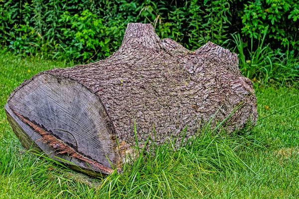 Mooring stump Stock Photos, Royalty Free Mooring stump Images ...