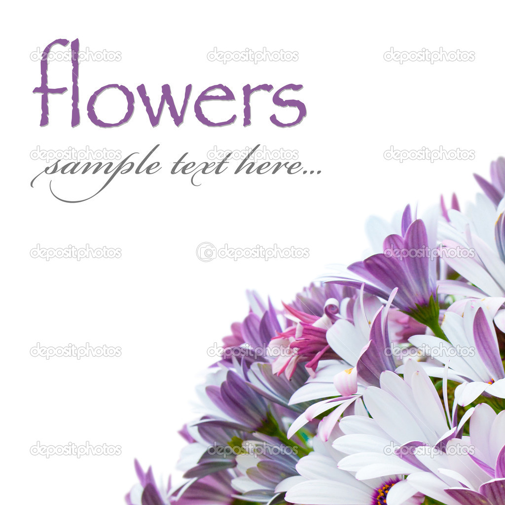 Beautiful spring flowers — Stock Photo © Maks_Narodenko #19048939