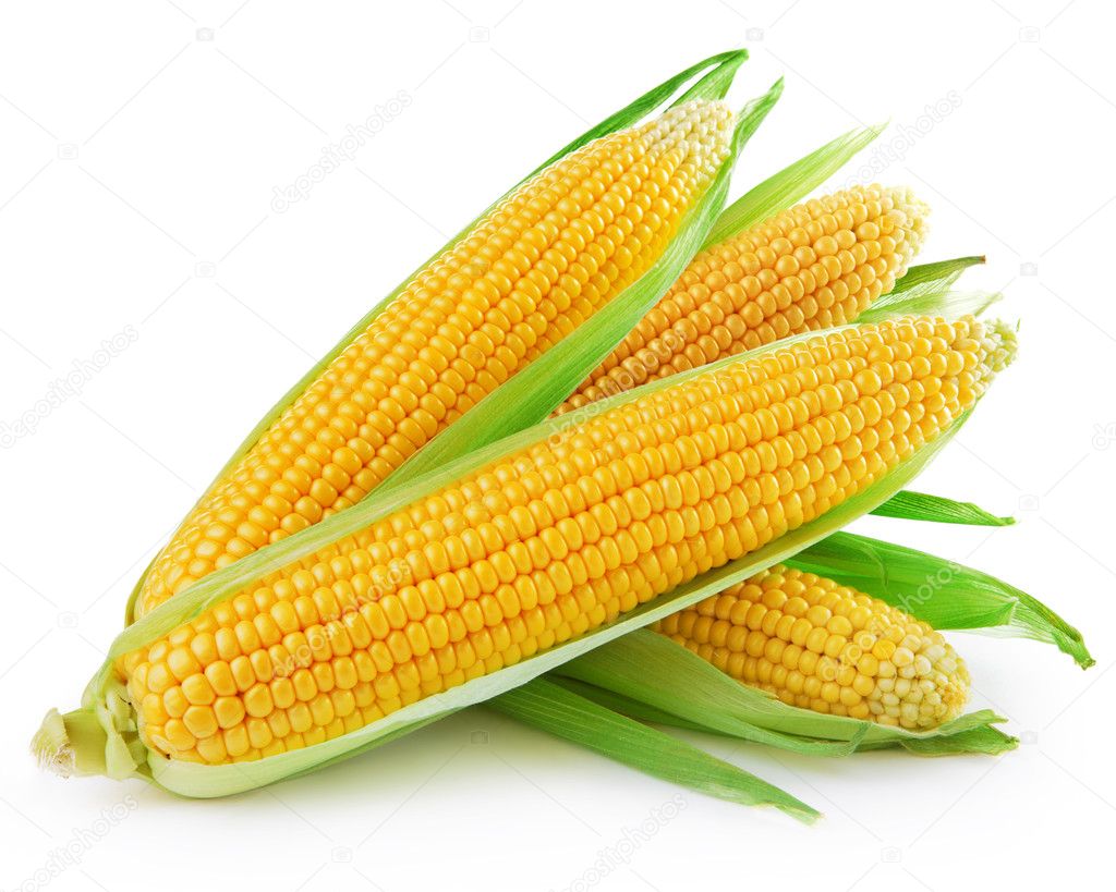 Sweet Corn Background