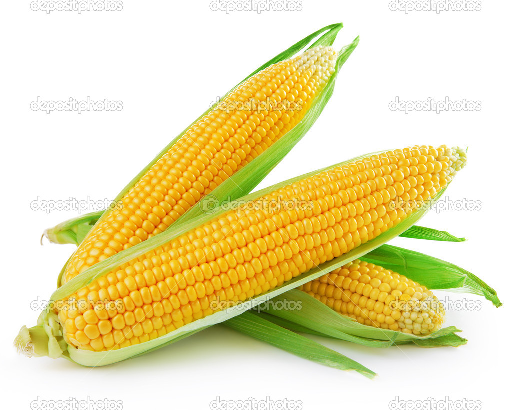 Corn Stock Photo by ©Maks_Narodenko 41231503