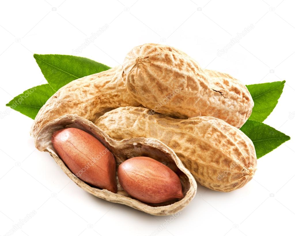 Peanuts Isolated — Stock Photo © Maks_Narodenko #44528205