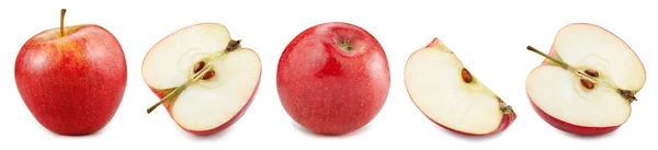 Apple growth stages Stock Photos, Royalty Free Apple growth stages ...