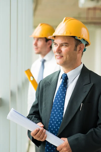 Professional engineer Stock Photos, Royalty Free Professional engineer ...